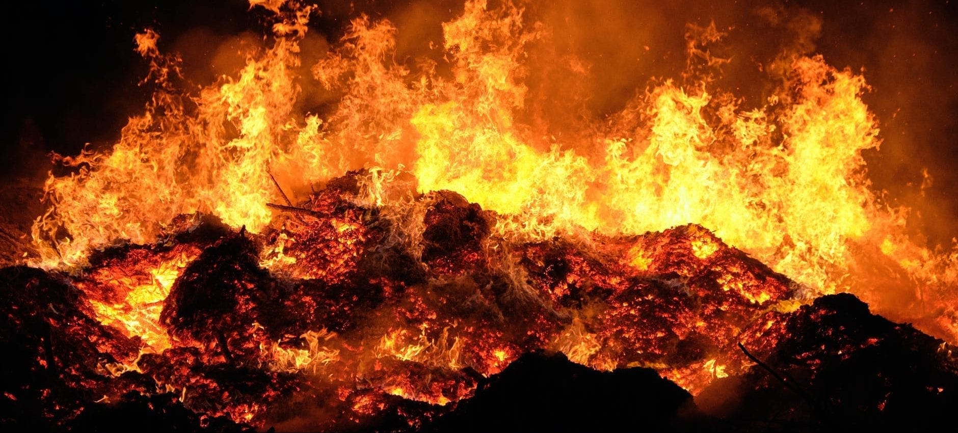 Bushfire Recovery | Oceanwatch Australia