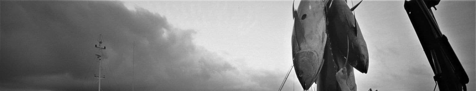 Aquaculture Species | Oceanwatch Australia