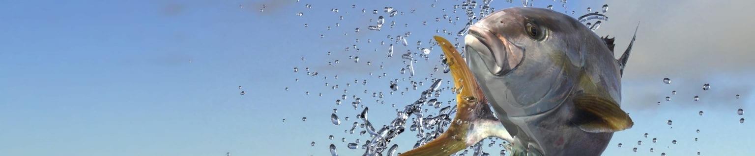 Aquaculture Species | Oceanwatch Australia