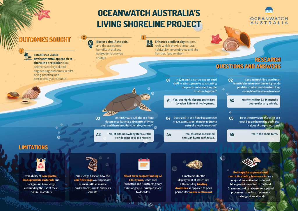 Living Shorelines | Oceanwatch Australia