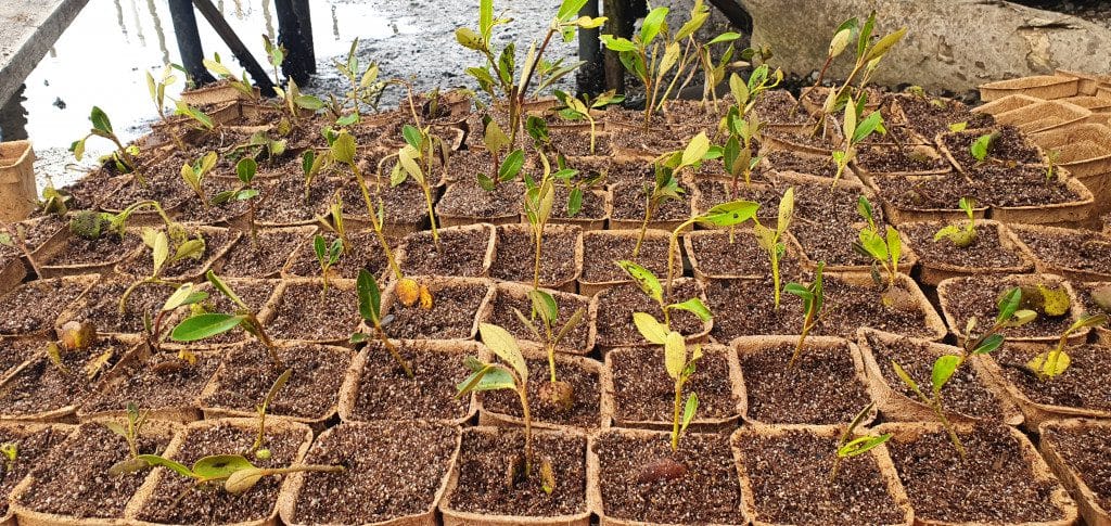 Home | Oceanwatch Australia