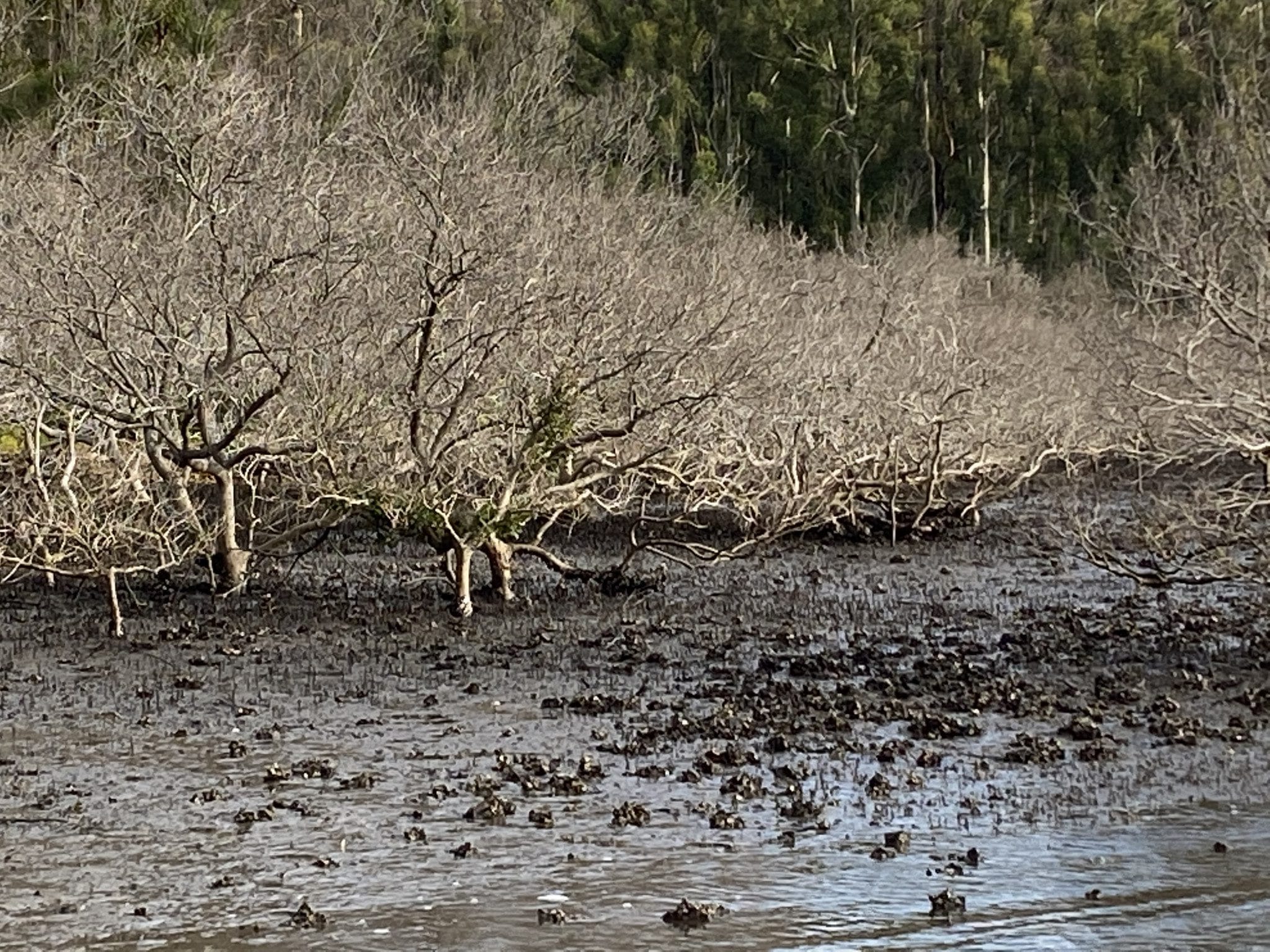 Fish Habitat Protection Protocol | Oceanwatch Australia