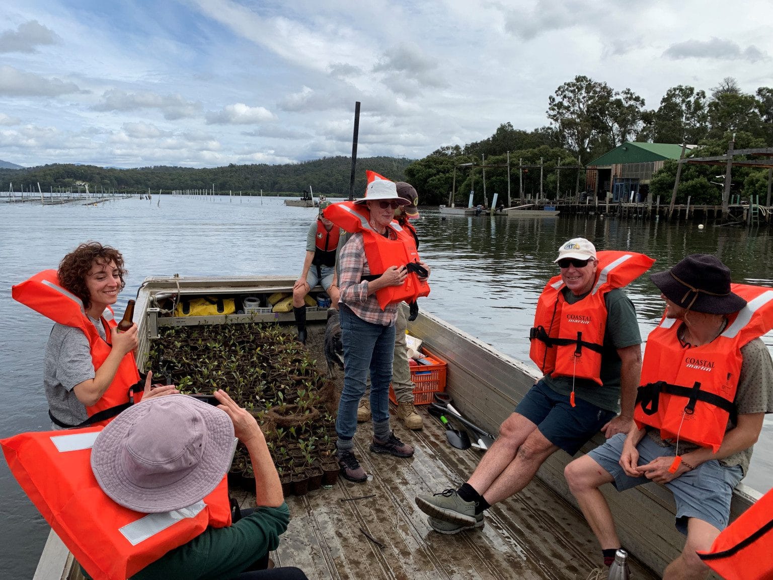 Post-Bushfire Mangrove Recovery | Oceanwatch Australia