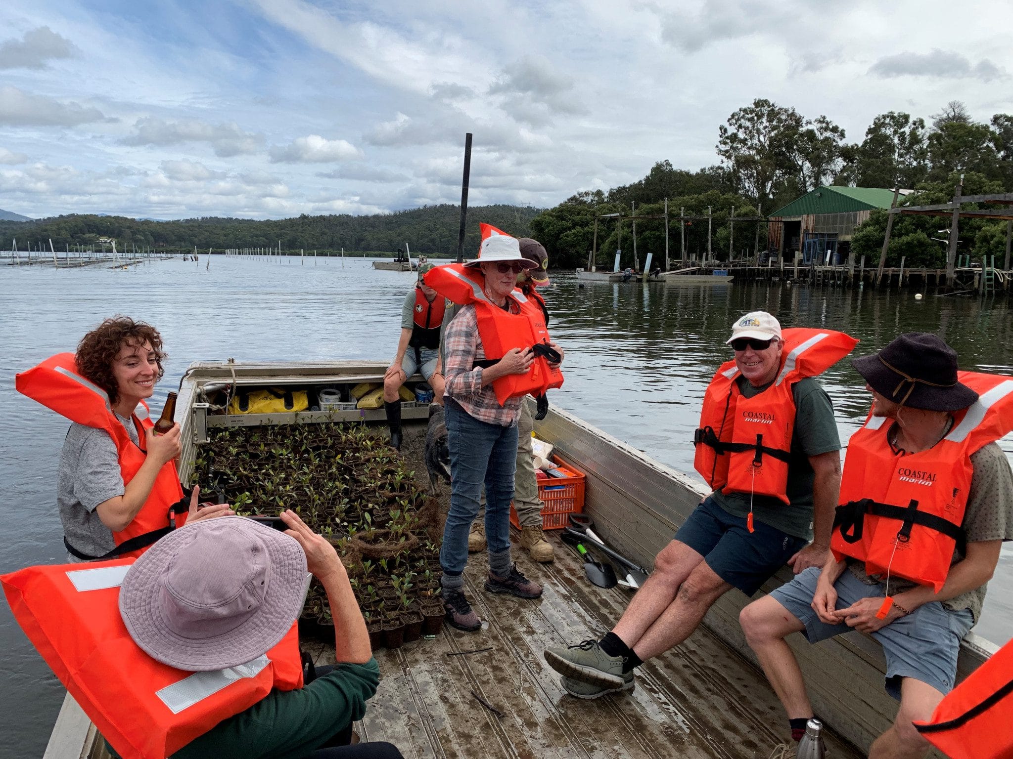 Post-Bushfire Mangrove Recovery | Oceanwatch Australia